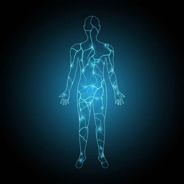 Menneskekropp Stock Photos, Royalty Free Menneskekropp Images ...