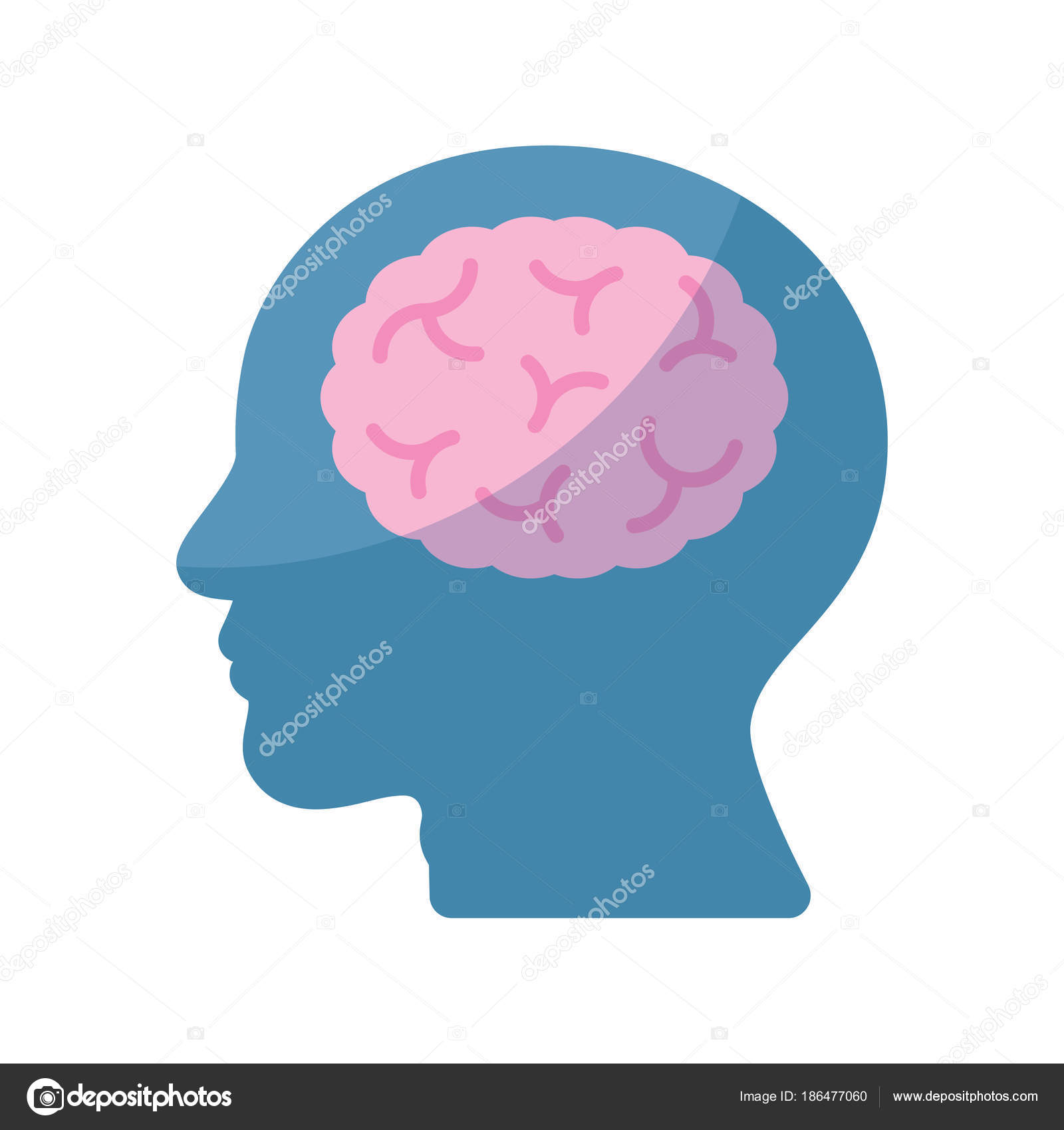 Human Head Brain Vector