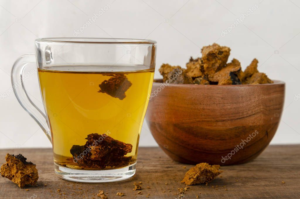 Té de setas Chaga. bebida medicinal con trozos de chaga 2022