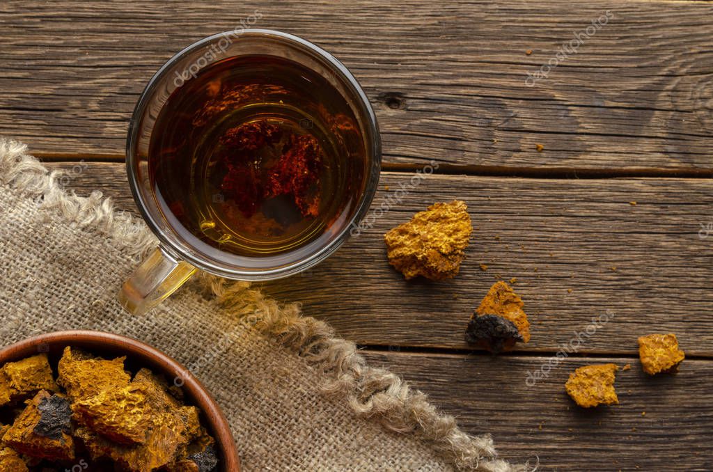 Té de setas Chaga. bebida medicinal con trozos de chaga 2024
