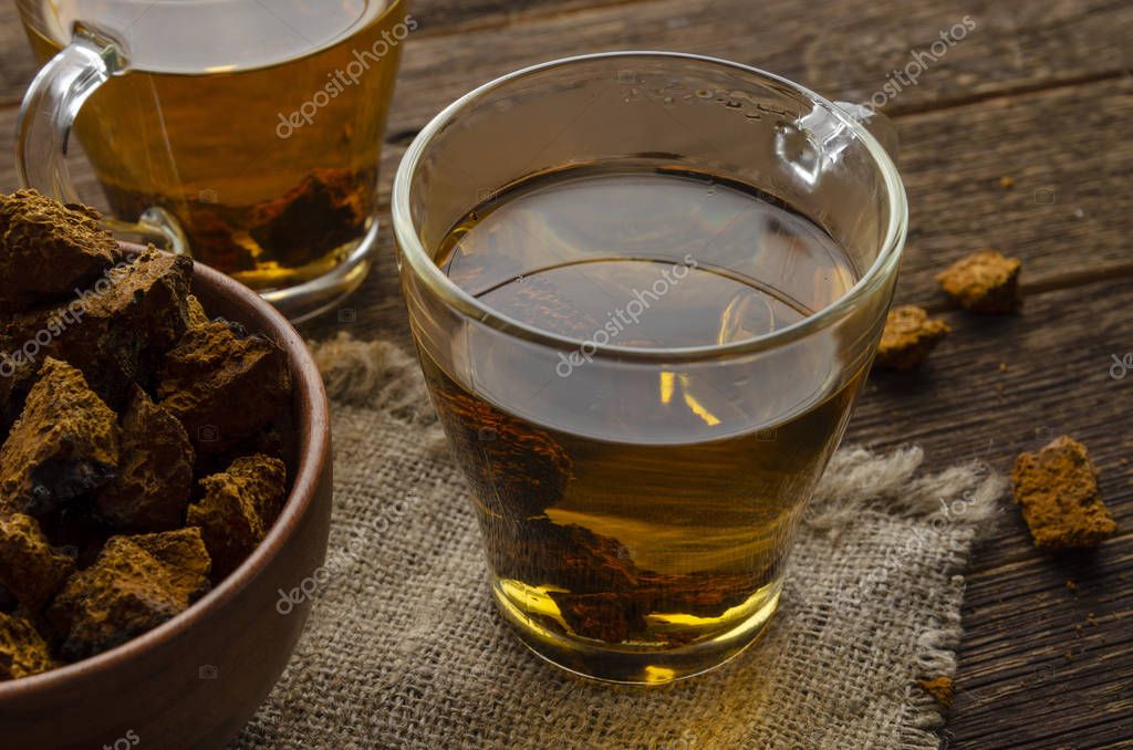 Té de setas Chaga. bebida medicinal con trozos de chaga 2023