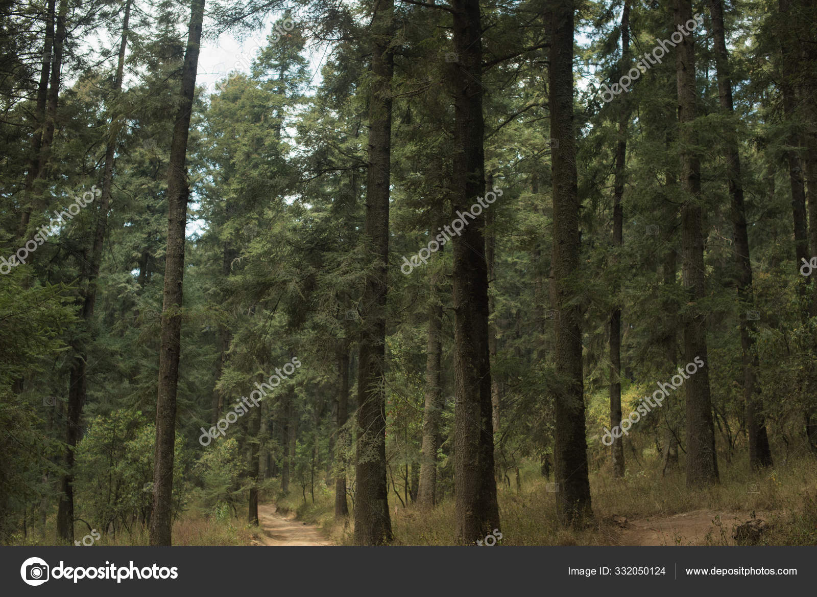 Marquesa National Park Official Name Parque Nacional Insurgente Miguel ...