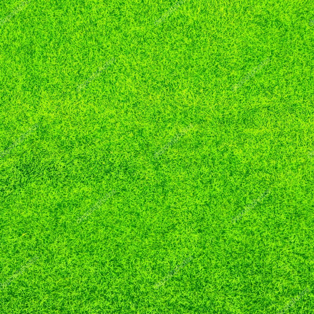 Green Grass Background Texture — Stock Photo © Brg1990 #128556566