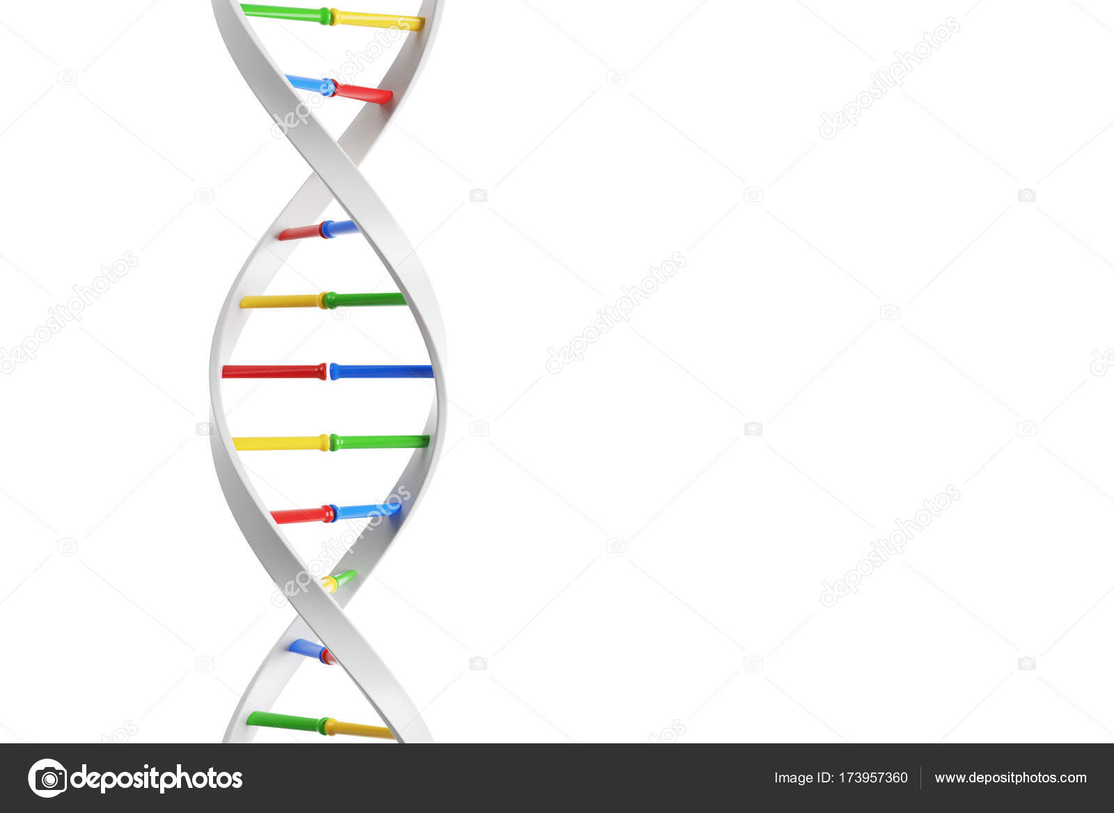 White vertical DNA chain Stock Photo by ©denisismagilov 173957360