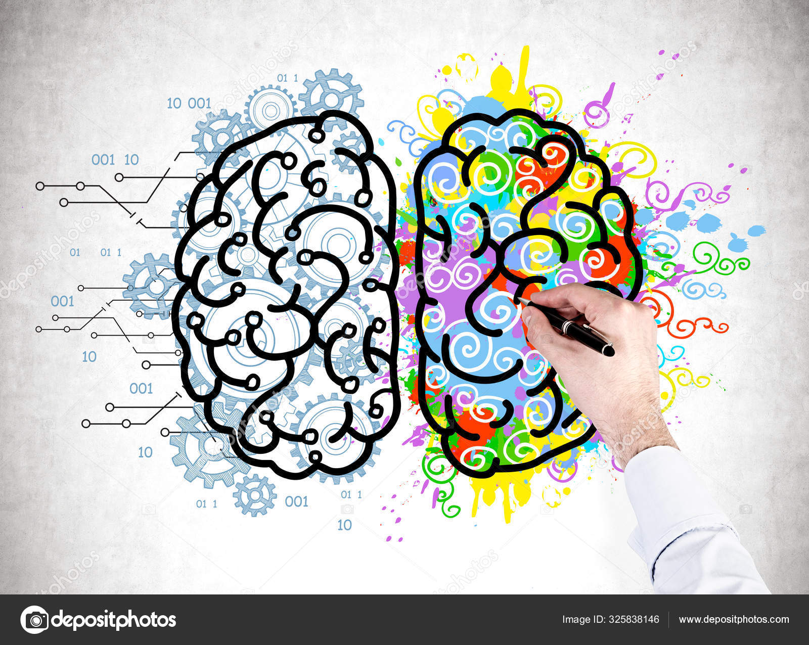 Man hand drawing left and right brain sketch Stock Photo by ...