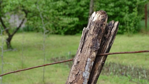 Wood pole Stock Photos, Royalty Free Wood pole Images | Depositphotos