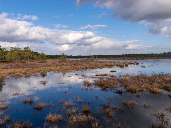 Beautiful Marsh Wetland