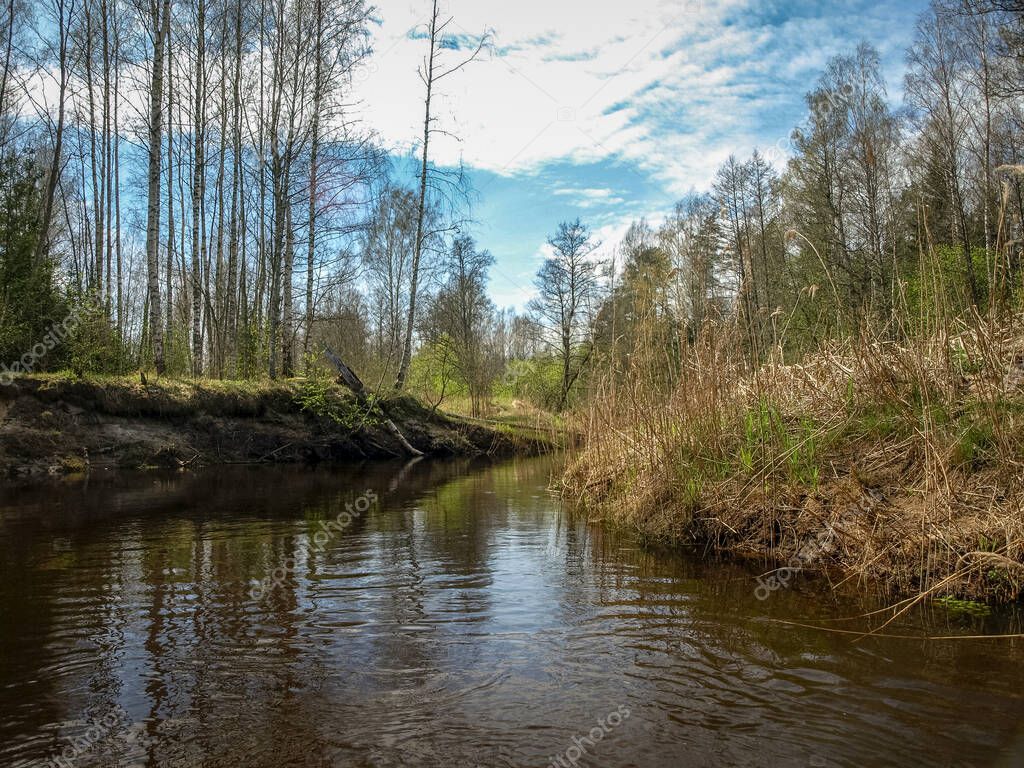 paisaje con una pequeña orilla del río salvaje, la primera vegetación ...