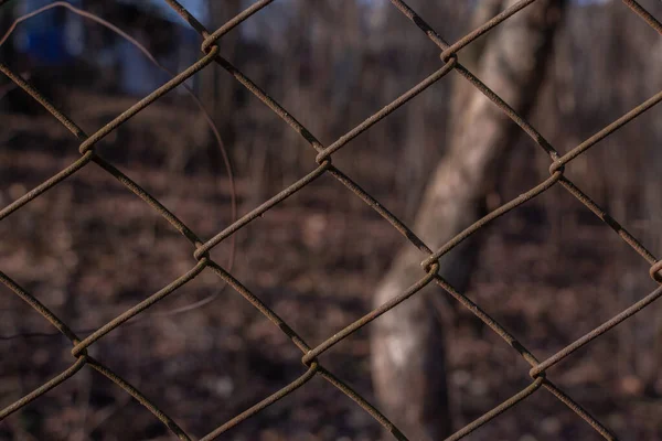 Rusty steel wire mesh fence,soft focus wire mesh close up.One link in a ...