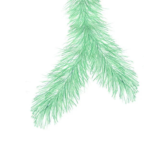 Fenyőfa rajz Stock Photos, Royalty Free Fenyőfa rajz Images | Depositphotos