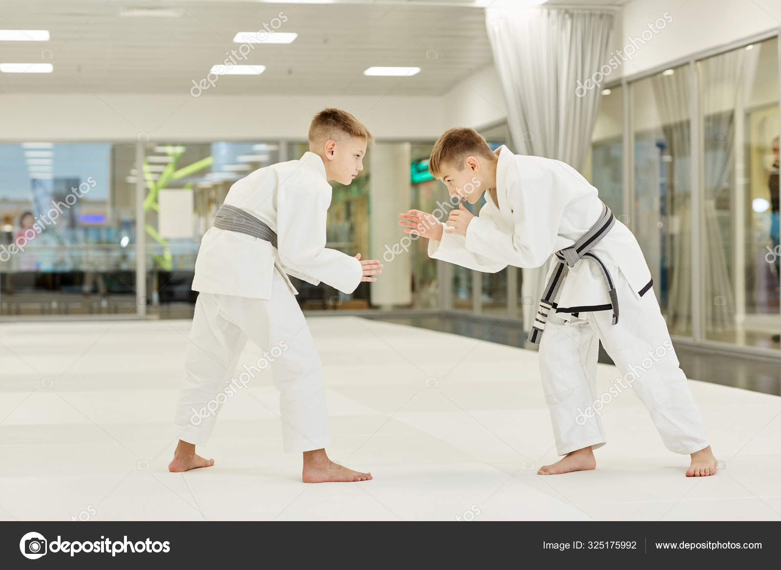 Two Young Judoists Kimono Standing Fighting Gym Stock Photo by ©annas.stills.gmail.com 325175992