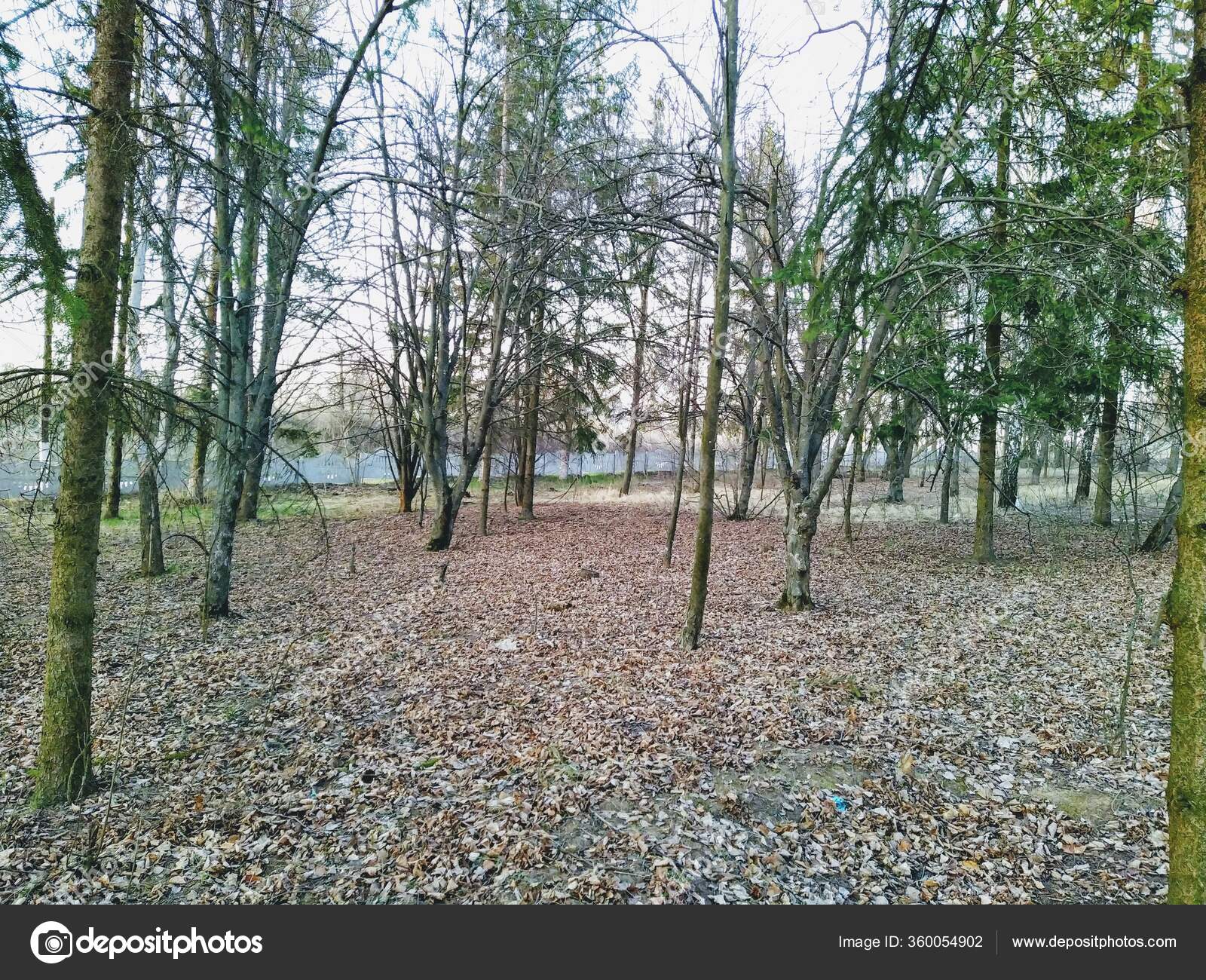 Empty Park Sunset Rural Countryside Spring Season — Stock Photo ...