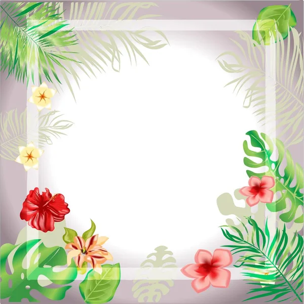 100,000 Tropical flower frame Vector Images | Depositphotos