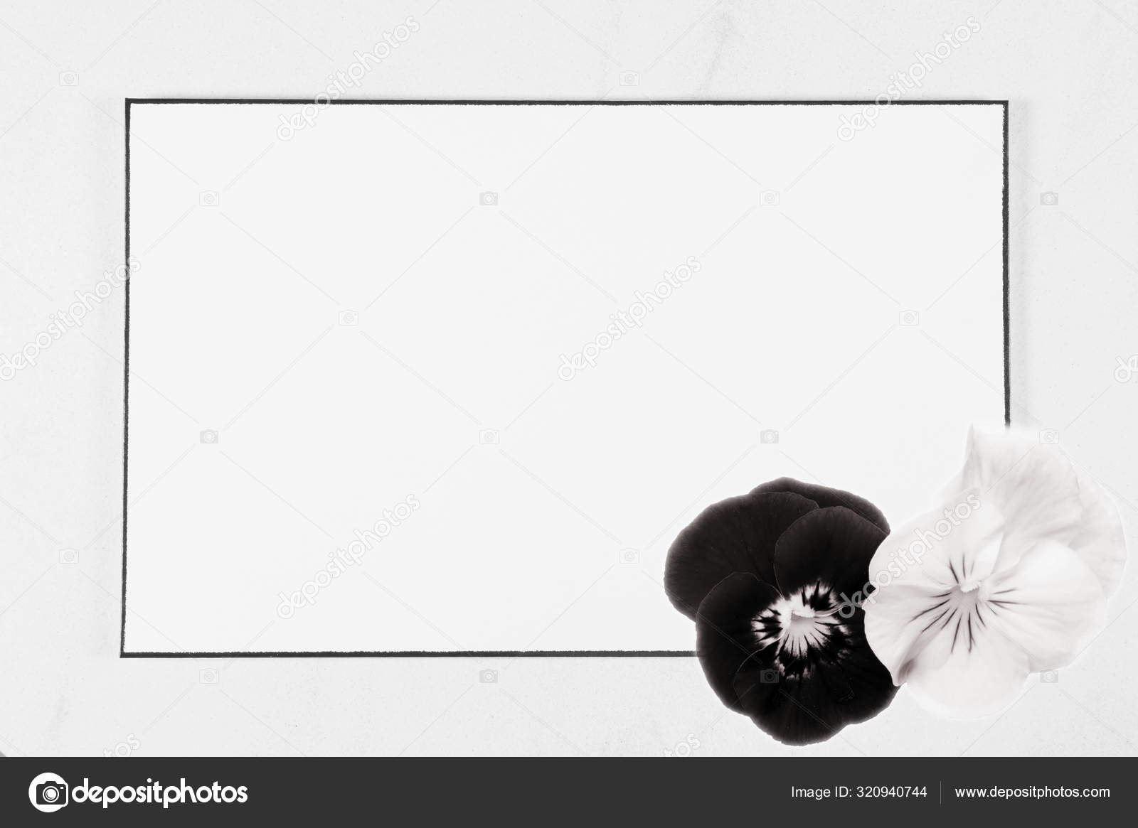 Funeral Condolence Card Petals White Marble Background Blank Frame ...