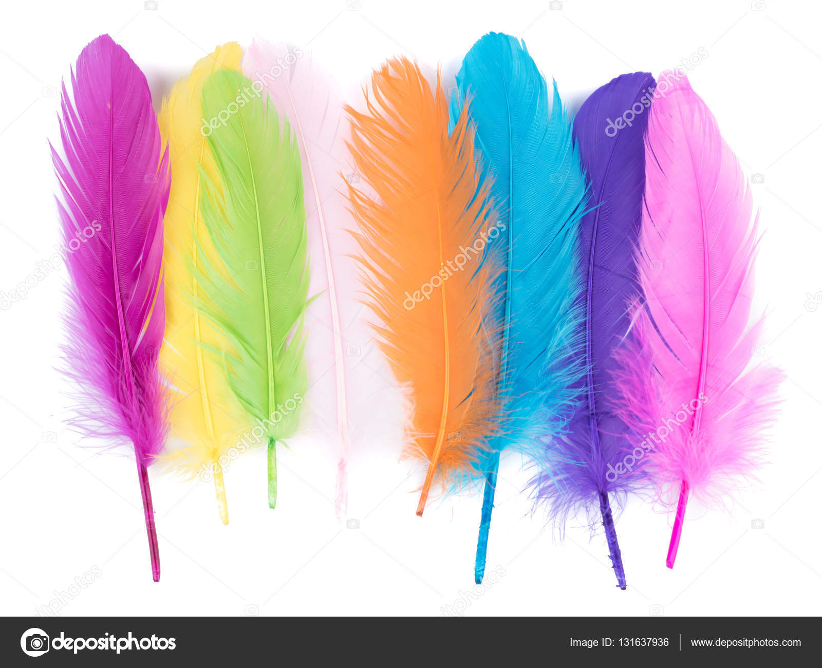 Soft fluffy bird feather isolated on white Stock Photo by ©missisya ...