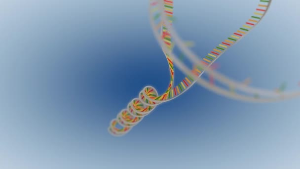 Animation Dna Replication Recombination — Stock Video © arsenyg #168024338