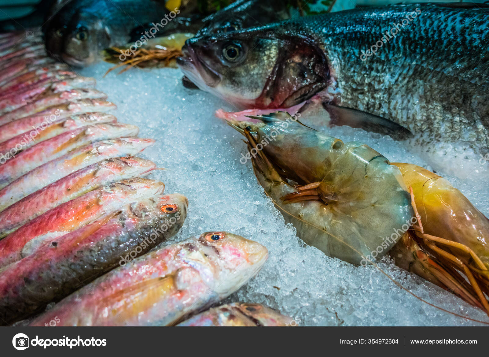 Fish Seafood Ice Travel Background Stock Photo by ©aallm 354972604