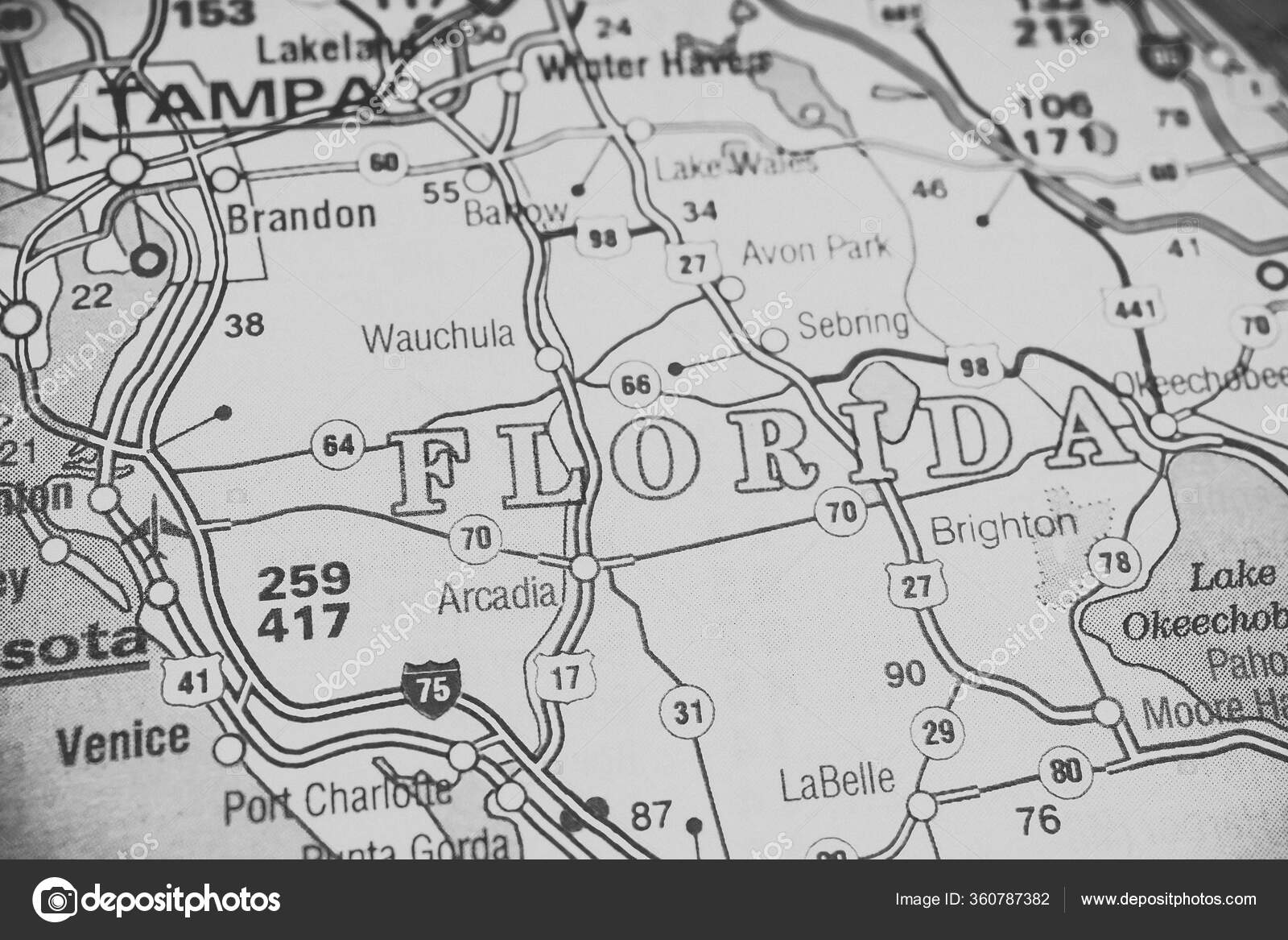 Florida State Usa Map Background Stock Illustration by ©aallm #360787382