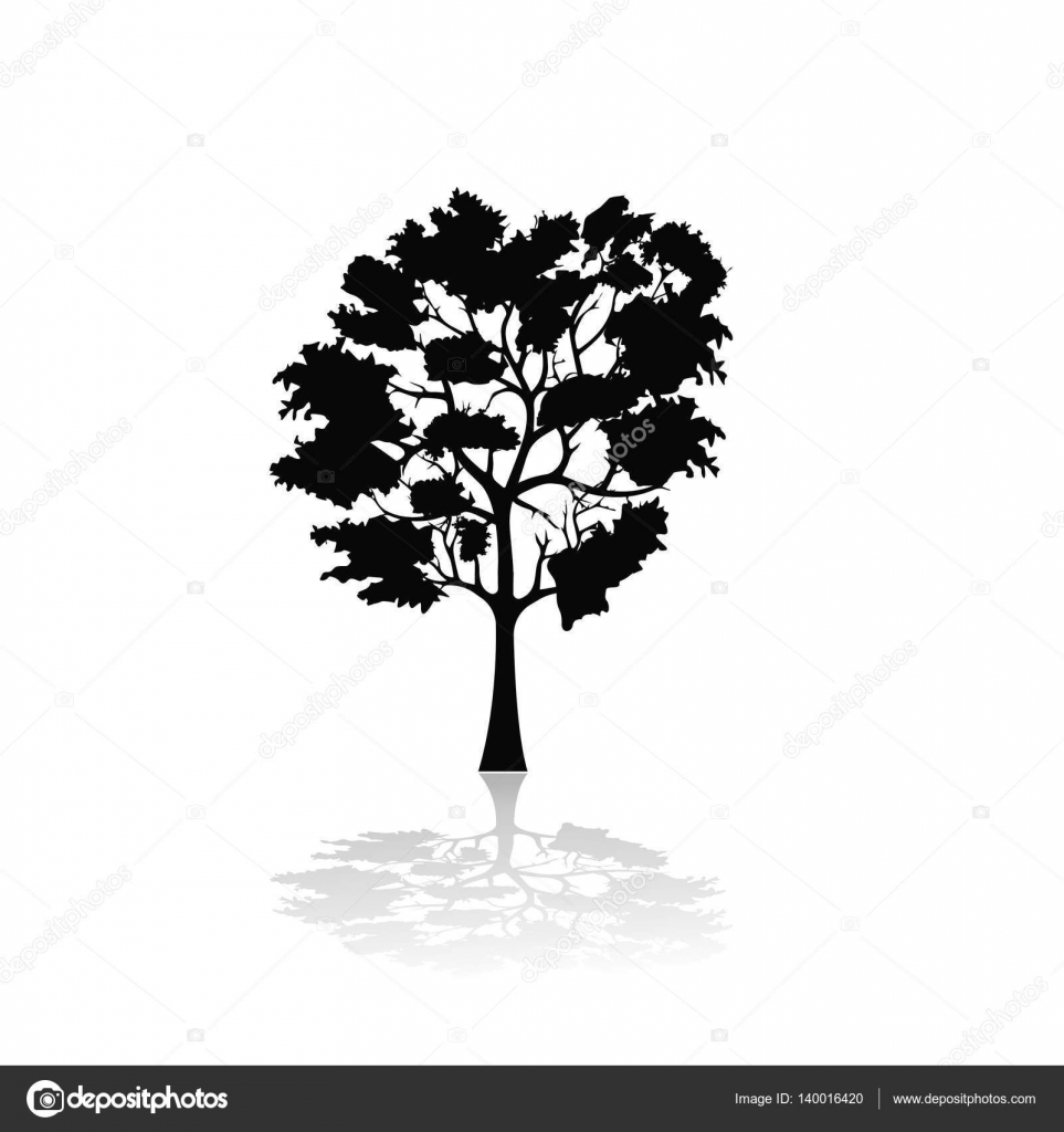 Silhouette of one tree with shadow Stock Vector by ©Sky-Designs 140016420