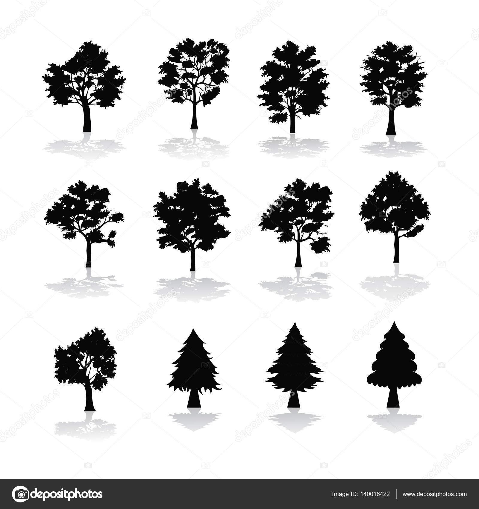 Set of trees with shadows Stock Vector Image by ©Sky-Designs #140016422