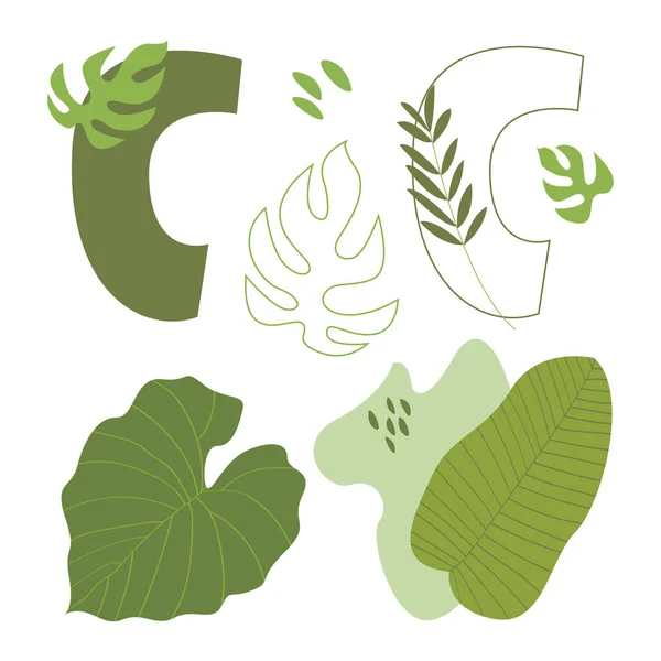 Tropical Letters Numbers Alphabet Leaves Isolated White Background ...