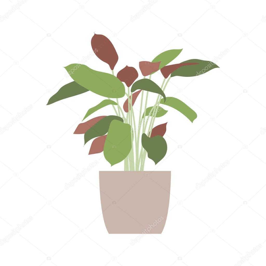 Planta de la casa en maceta, ilustración del vector 2023