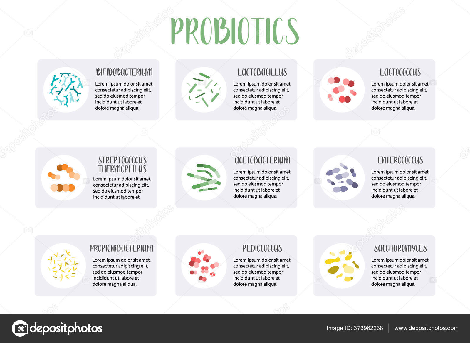 Probiotics Infographic Lactic Acid Bacteria Good Bacteria Gut ...