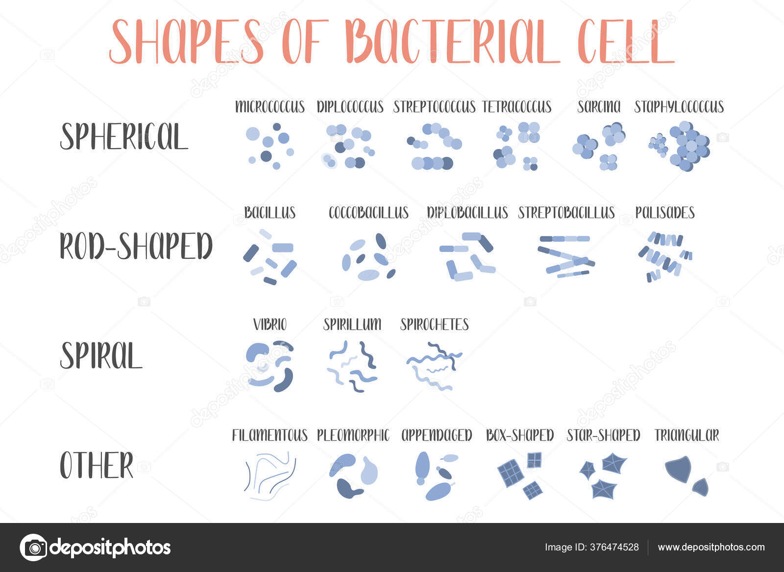 Typer Bakterier Sømløst Mønster. Fargerik Bakterie Og Bakterier.