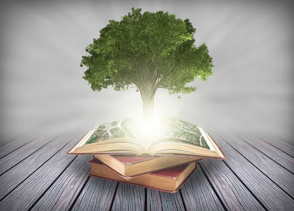 Tree book Stock Photos, Royalty Free Tree book Images | Depositphotos