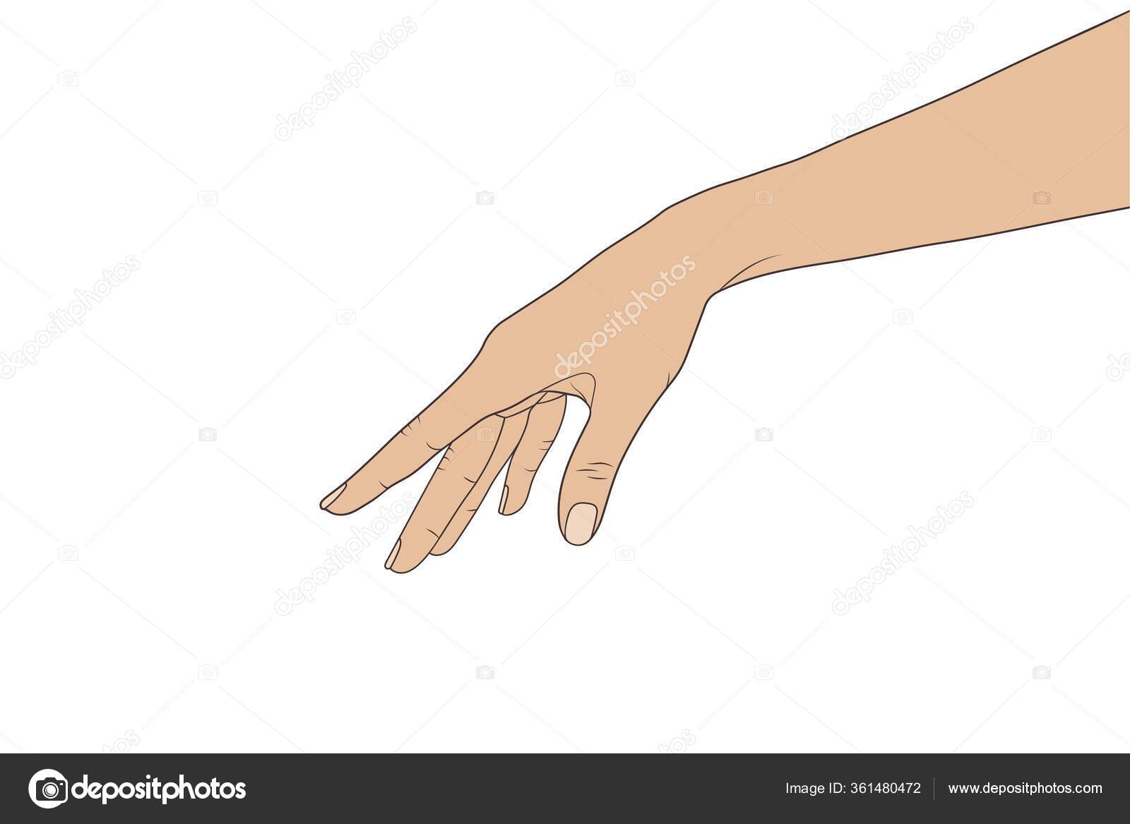 Human Hand Vector Image Stock Vector Image by ©EVdesign_EV #361480472