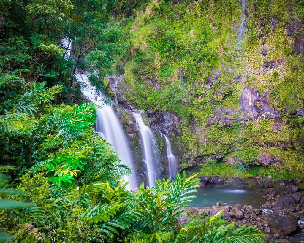 Una hermosa vista de una cascada rodeada de rboles en medio de un ...