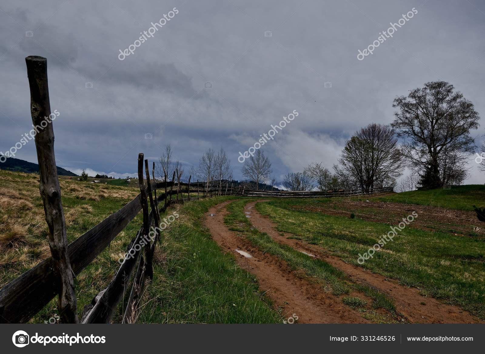 Beautiful Scenery Field Full Different Kinds Plants Countryside — Stock ...