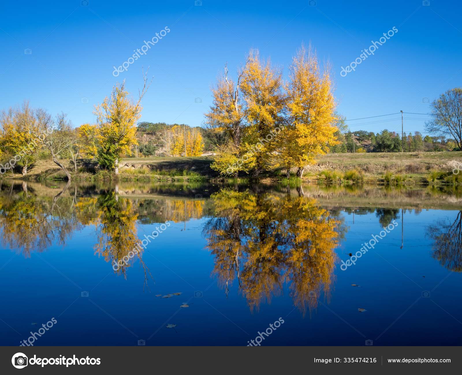 Beautiful scenery of a range of trees reflecting on a lake during ...