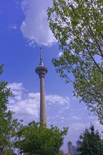 Inci oryantal kulesi Stock Photos, Royalty Free Inci oryantal kulesi ...