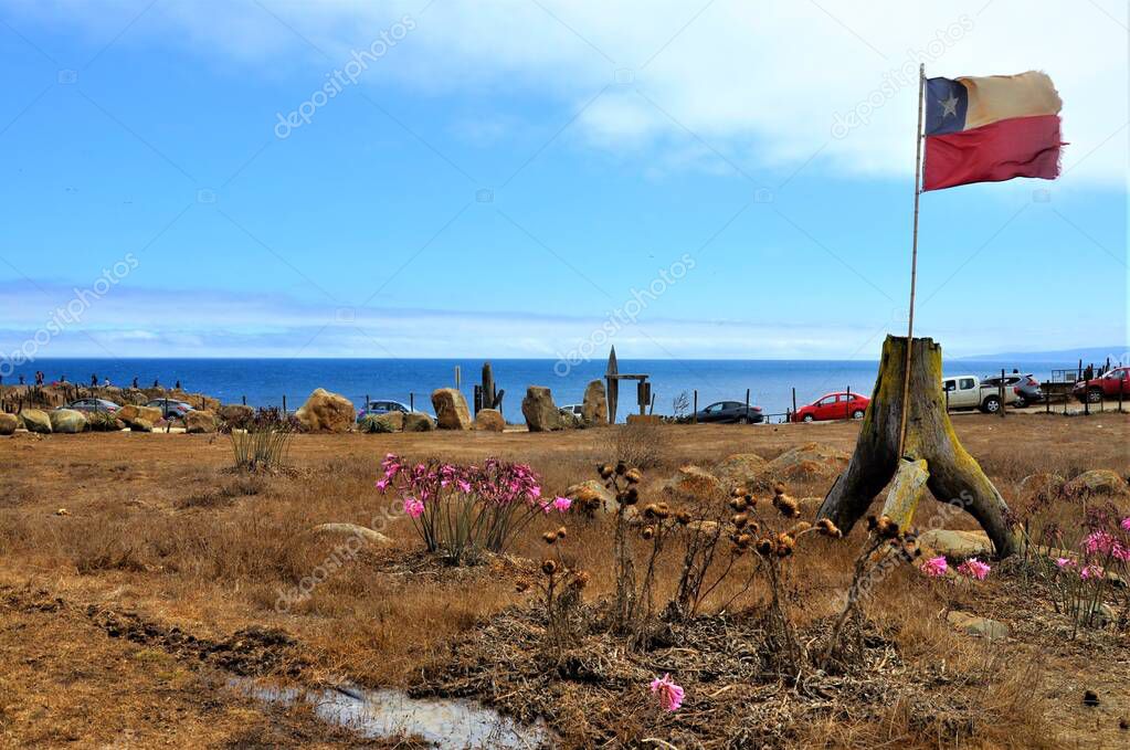 La hermosa vista de la bandera chilena en la playa de Punta de Lobos en ...