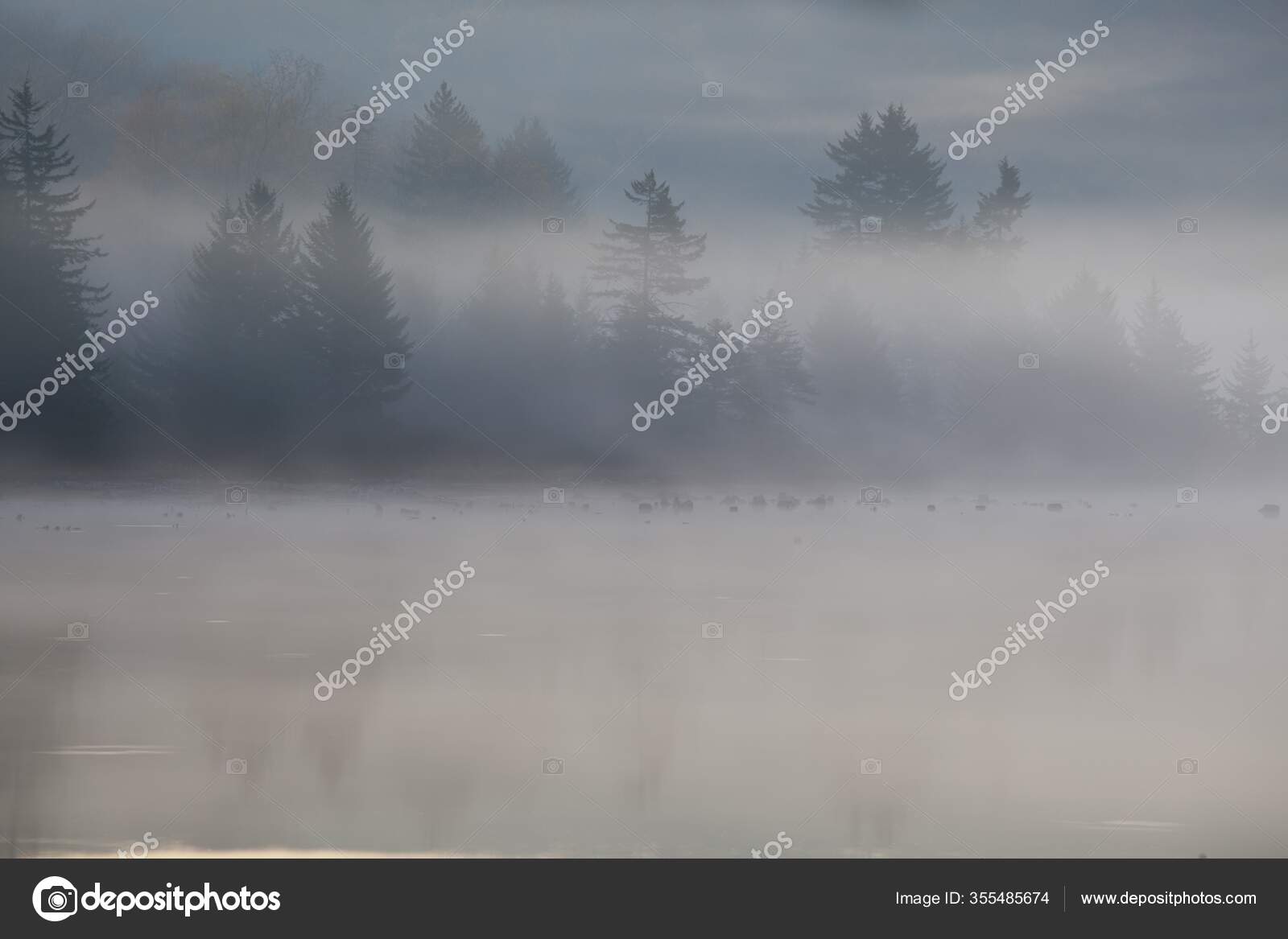 Morning Fog Obscuring Trees Spruce Knob Lake Monongahela National ...