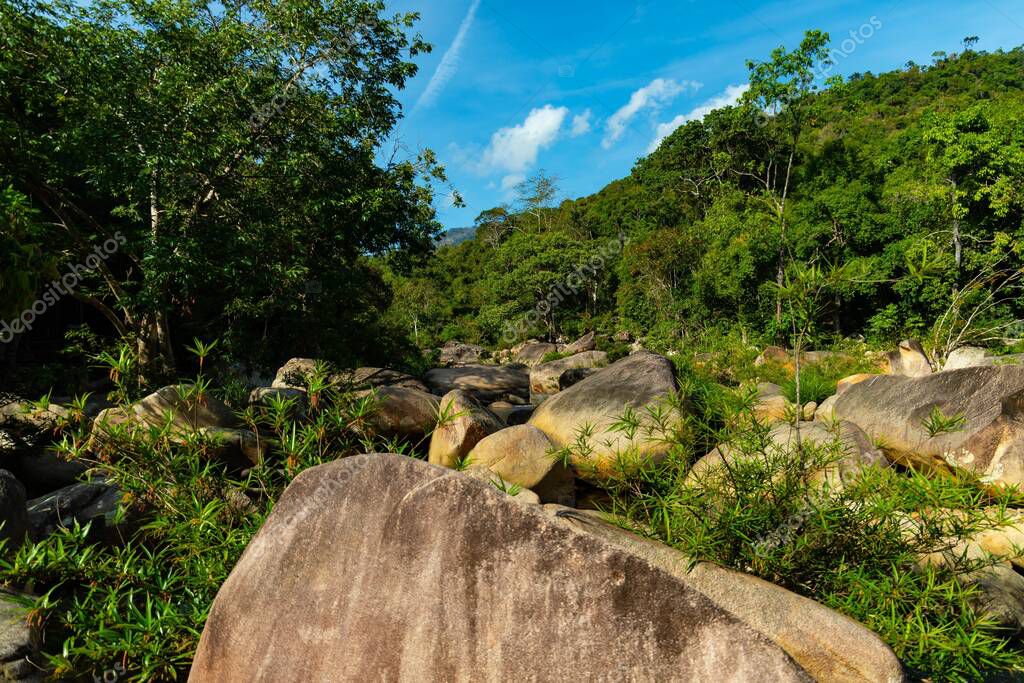 Una hermosa toma de rocas y plantas rodeadas de árboles verdes en el ...