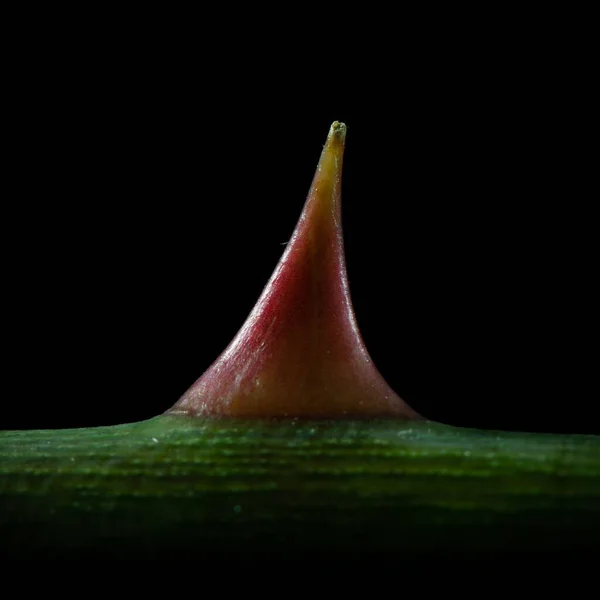 Seed funnel Stock Photos, Royalty Free Seed funnel Images | Depositphotos