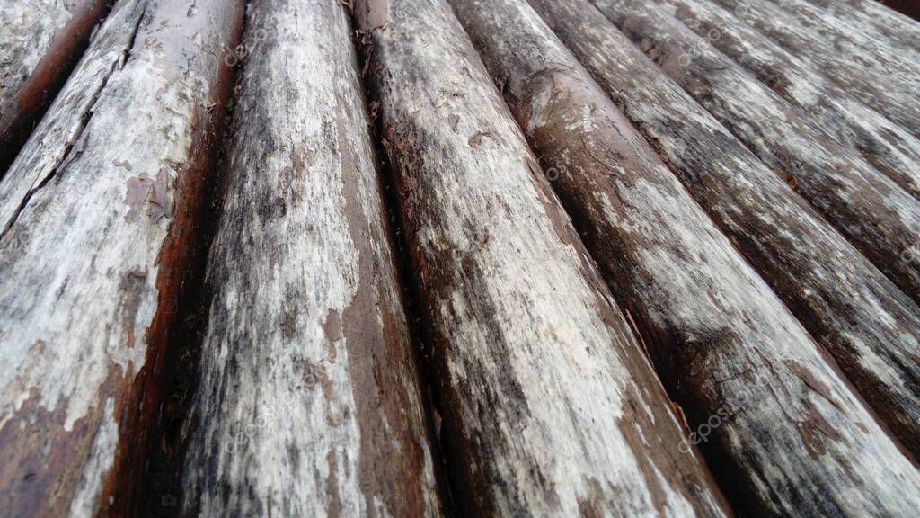 El efecto de la humedad en la madera. Un tronco de construcción para su ...