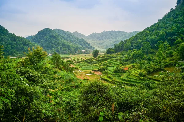 Beautiful vietnamese landscape Stock Photos, Royalty Free Beautiful ...