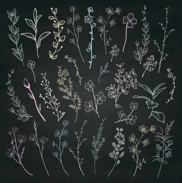 Free Plant Images & Videos | Download on Depositphotos