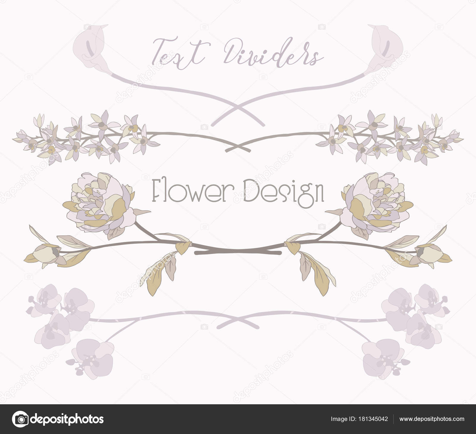 Vector Floral Text Dividers. Flower Design Elements Stock Vector Image ...