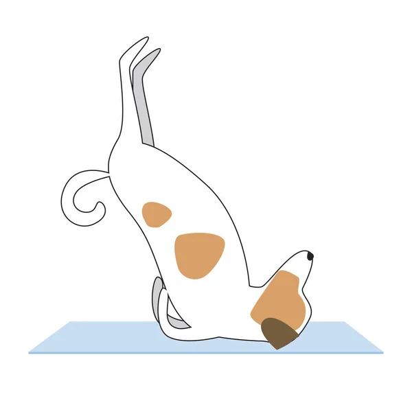 Pilates dog imágenes de stock de arte vectorial | Depositphotos