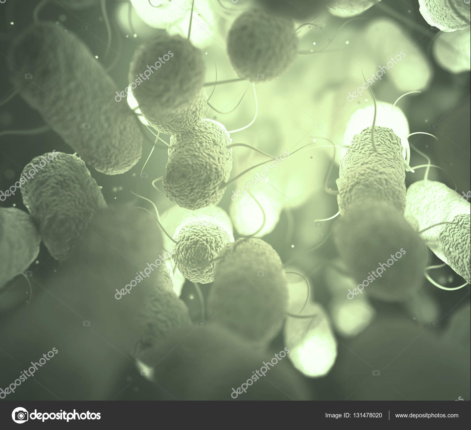 Enterobacteriaceae Bacteria Family Stock Photo by ©ktsdesign 131478020