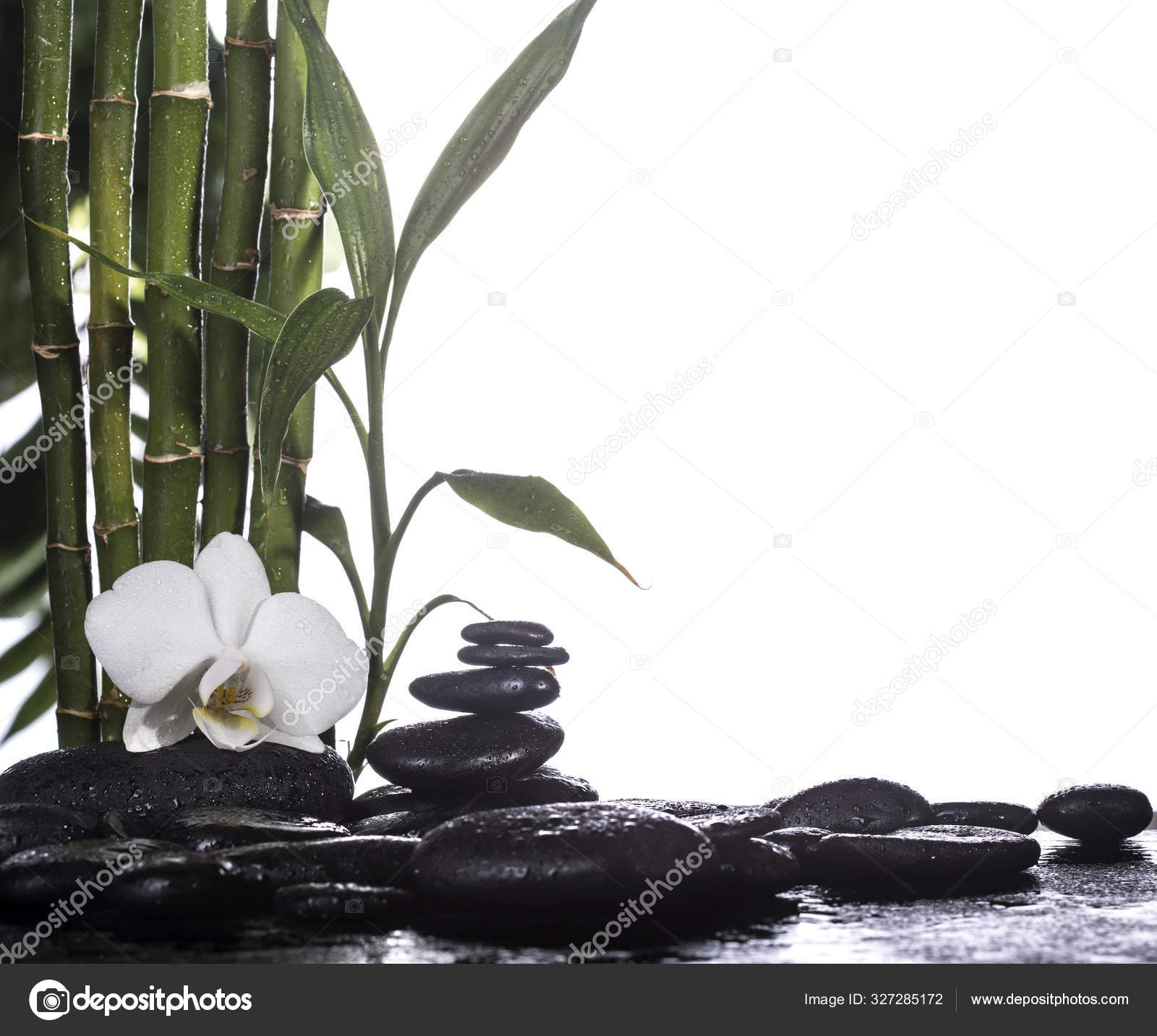 Zen Bamboo Wallpapers