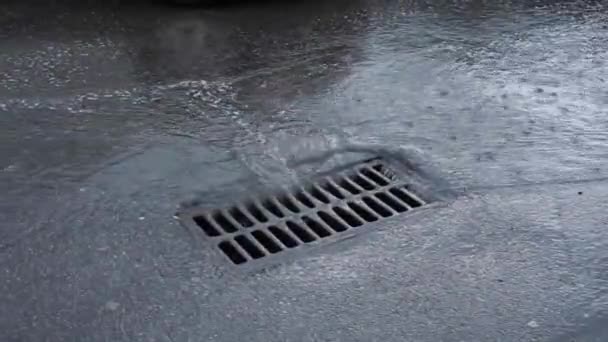Water Drains Sewer Rain Iron Grid — Stock Video © Voroshchuk #370916132