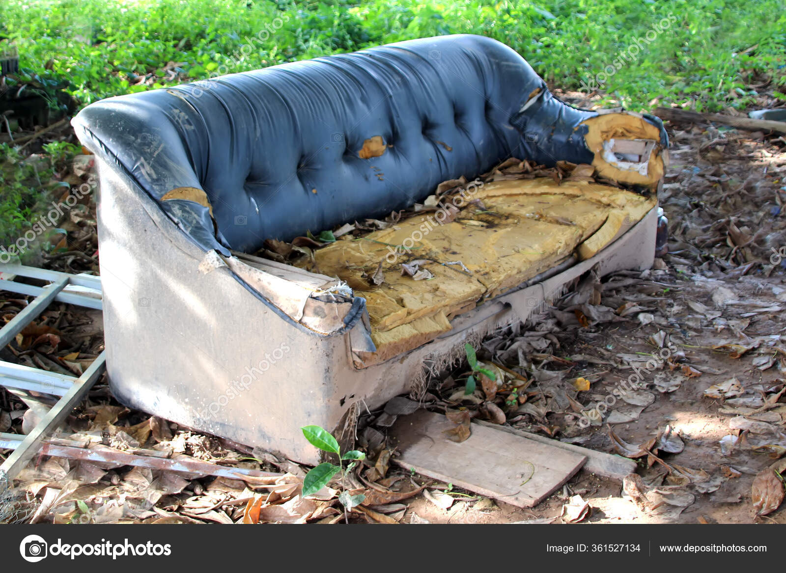 Torn Sofa