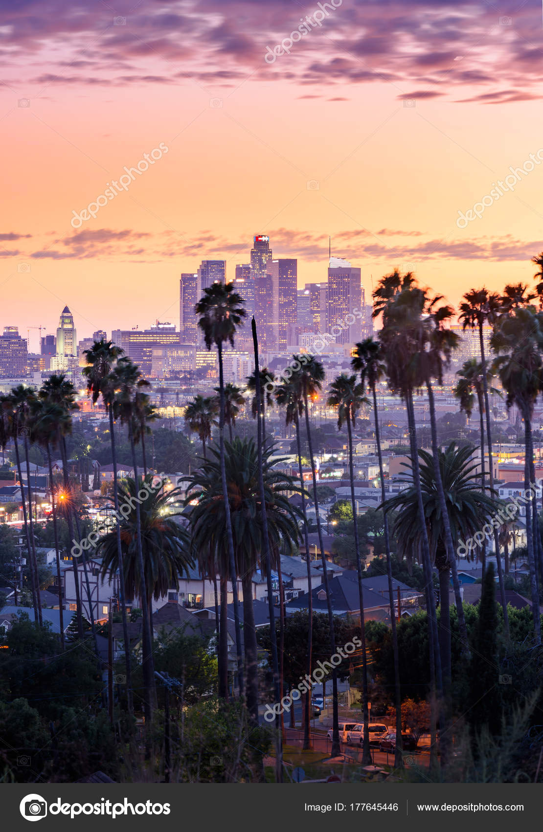 Beautiful Sunset Los Angeles Downtown Skyline Palm Trees Foreground ...
