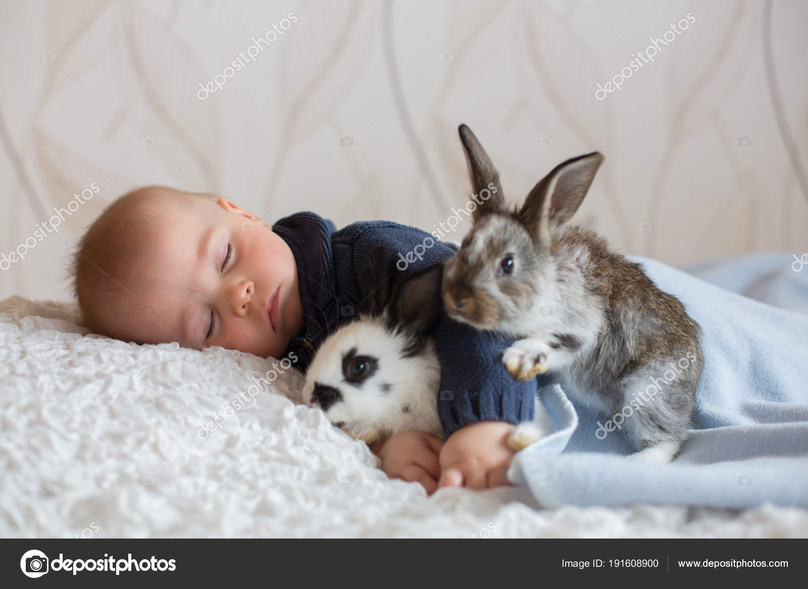 Cute Baby Bunnies Sleeping