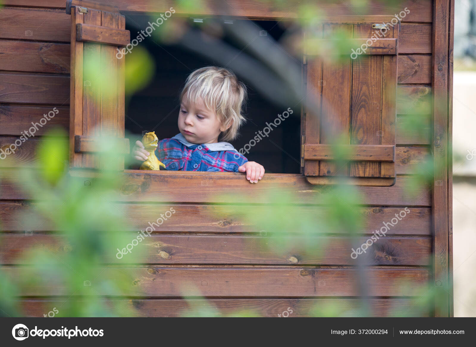 Little Boy Standing Window Playing Dinosaurs Little Wooden Kids Tree ...